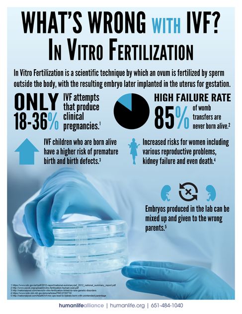 IVF Fact Sheet Human Life Alliance