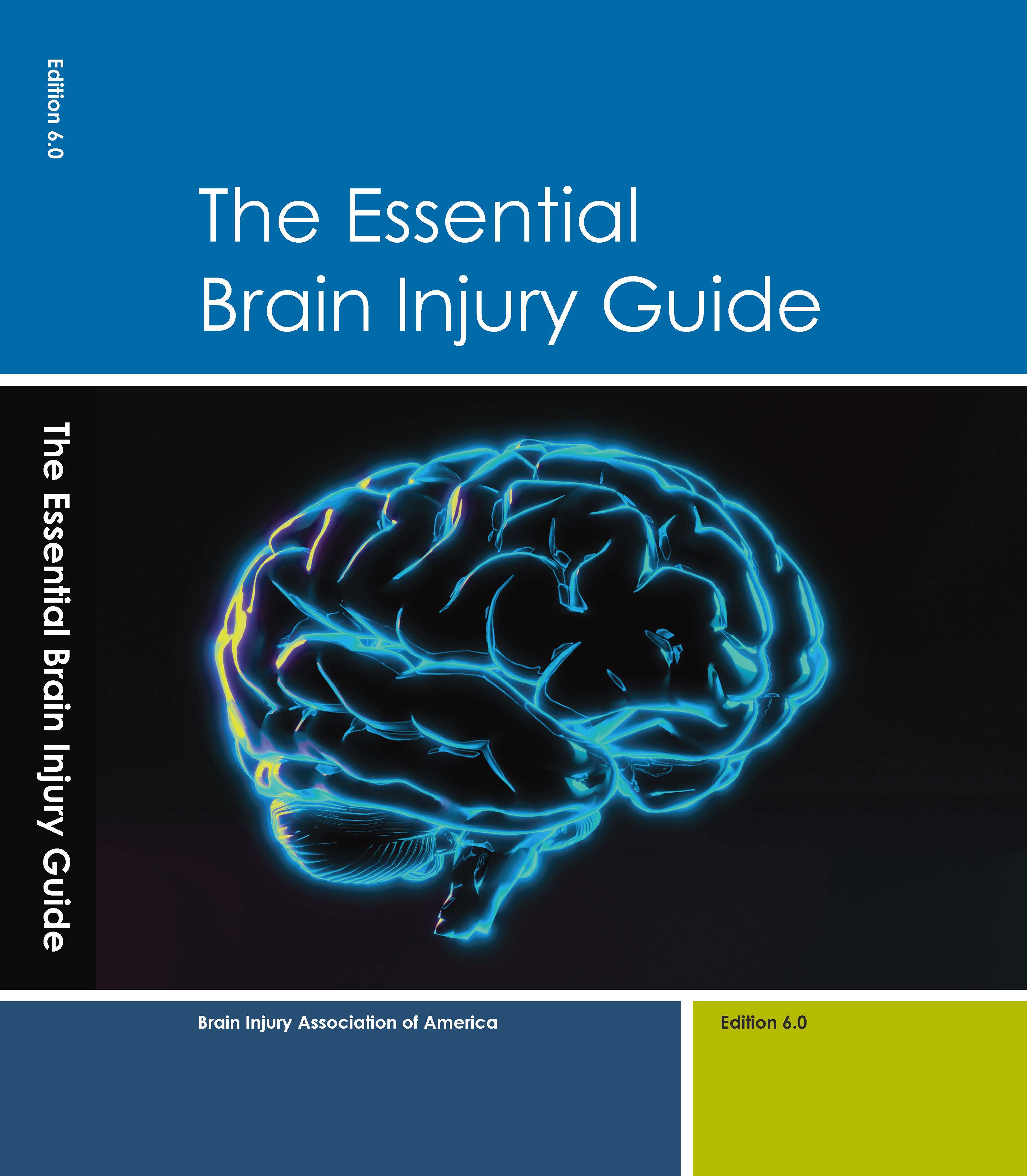 The Essential Brain Injury Guide, Edition 6.0 Print — Brain Injury Association of America