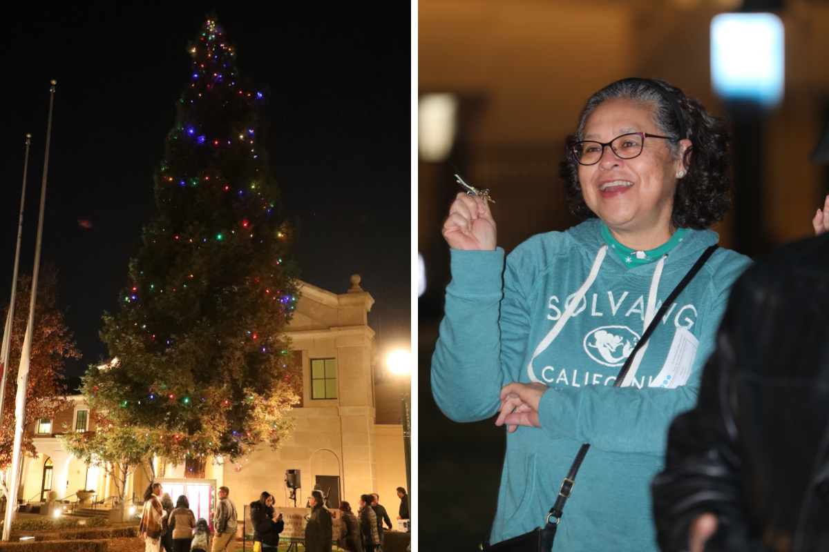 Tracy Tree of Lights