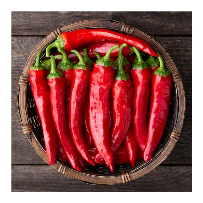 Hot - Red Ember — The Conservation Foundation