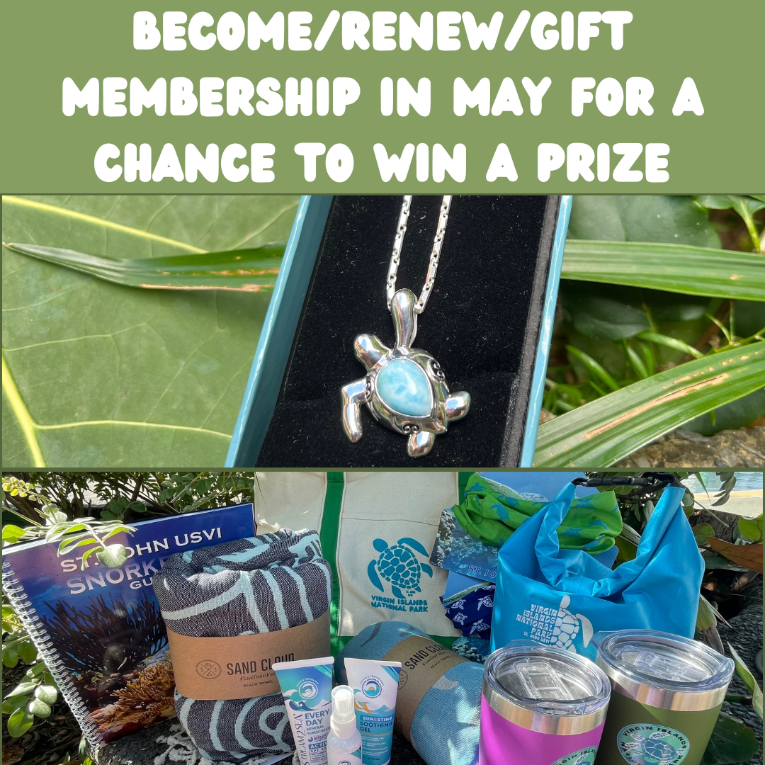 Be a Friend! Renew or become a member! — Friends of Virgin Islands ...