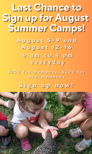 Home — Buffalo Niagara Heritage Village