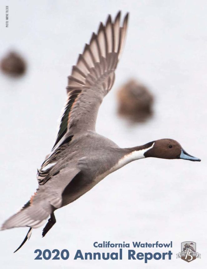 Annual Report — California Waterfowl