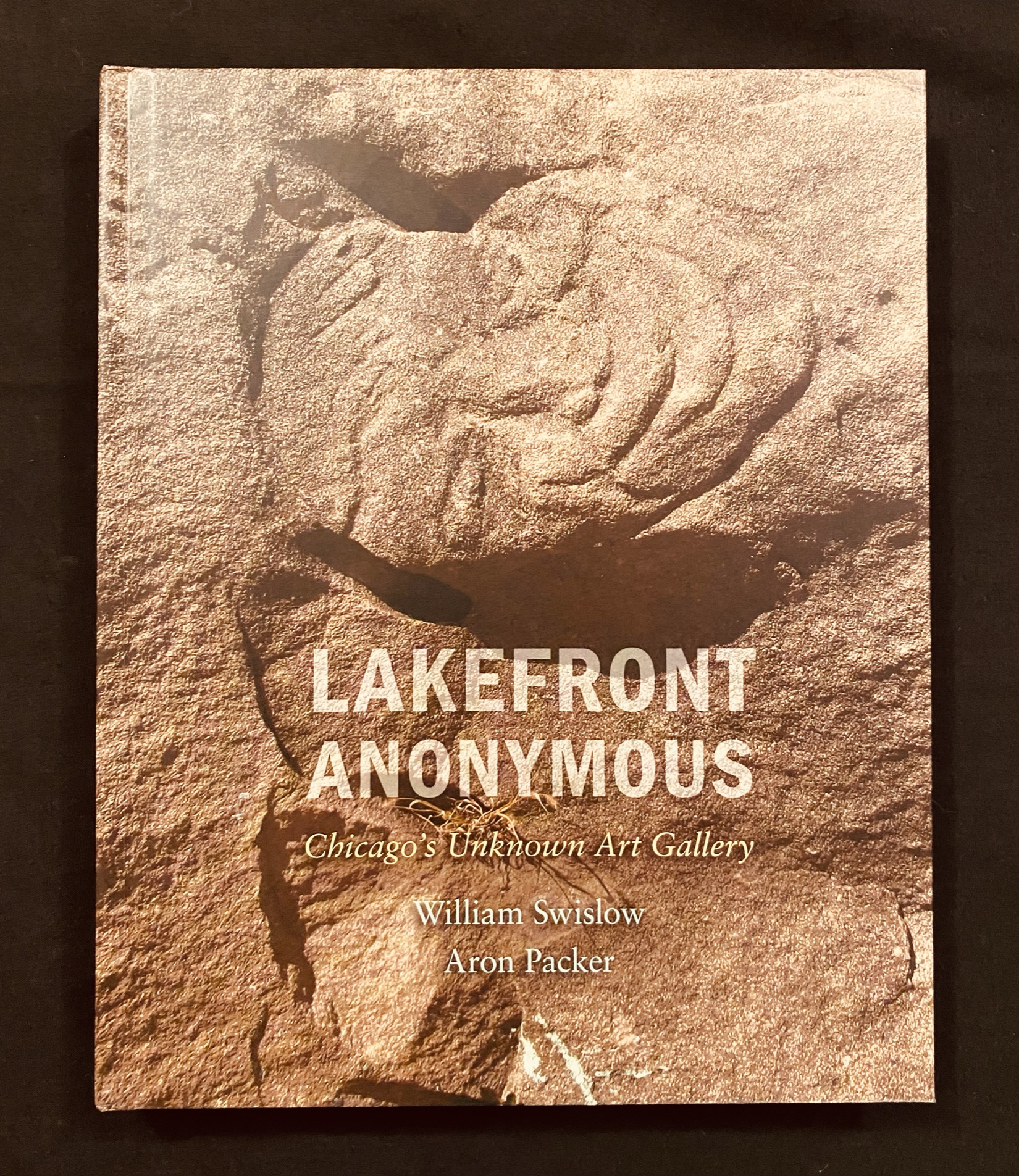 Lakefront Anonymous: Chicago's Unknown Art Gallery — Intuit Store