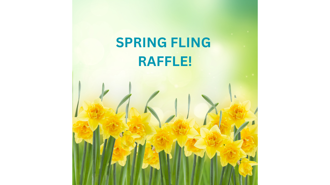Spring Fling Raffle 2023 !! — Our Charity