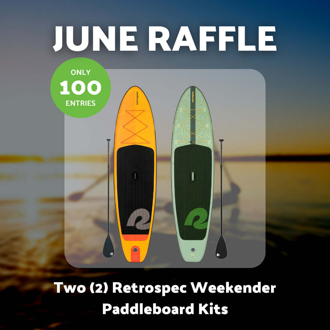 Two (2) Retrospec Weekender Paddleboard Kits — Illinois Conservation ...