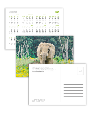 Gift Shop — The Elephant Sanctuary