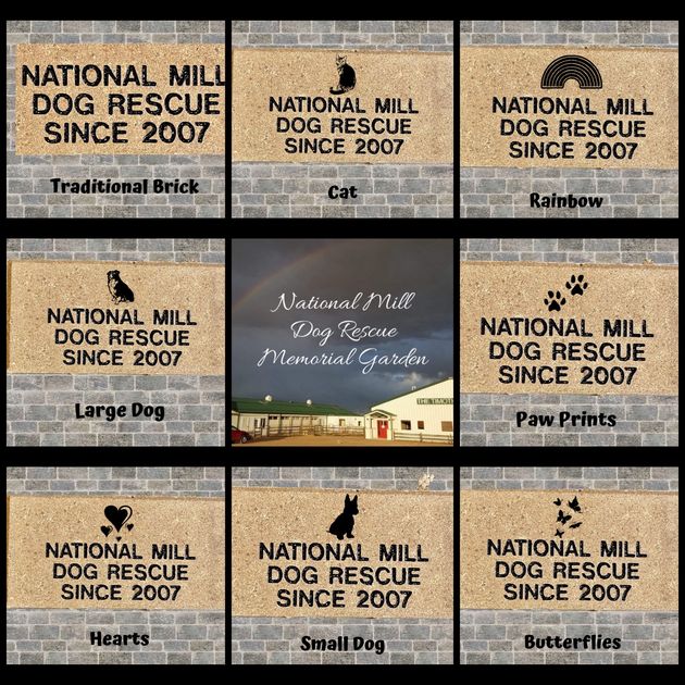 Gift A Brick 4 X 8 gift-a-brick-4-x-8