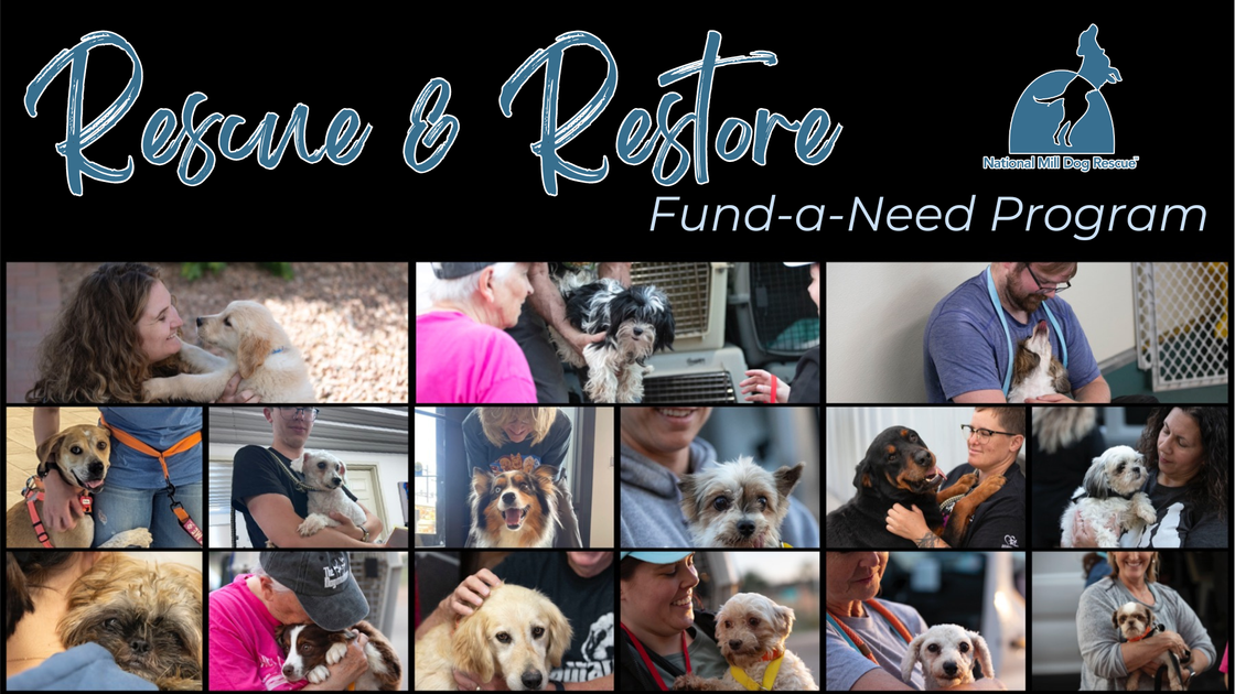 Rescue & Restore Fund-a-Need Program