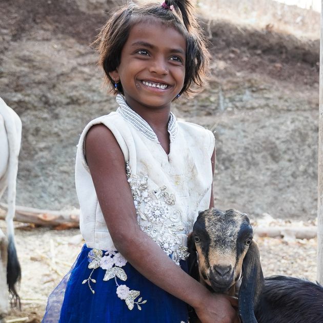 Goats — India Partners