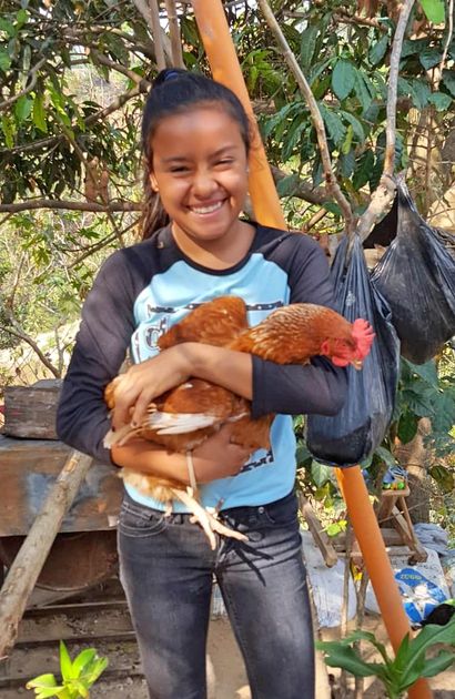 Chickens — Adopt-A-Child