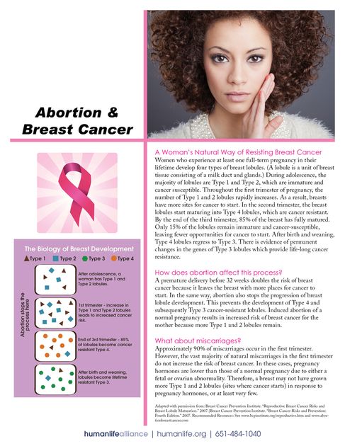 Breast Cancer Fact Sheet — Human Life Alliance