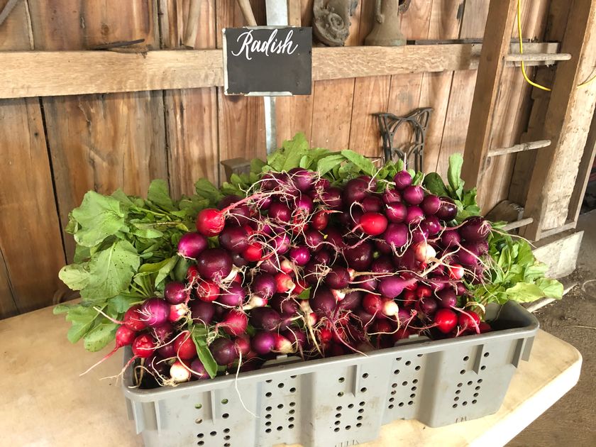 Organic Beets — The Conservation Foundation