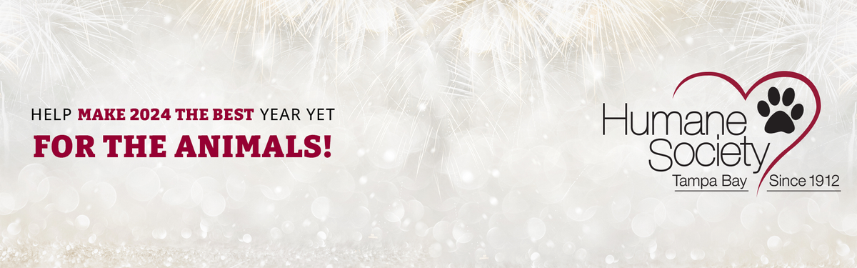 Make Your Year-End Gift! — Humane Society of Tampa Bay