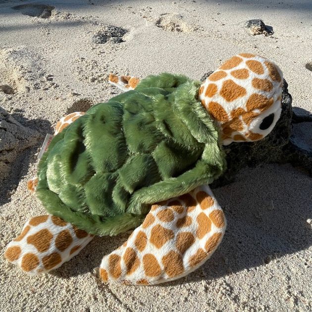 Green Sea Turtle Plush Toy — Friends of Virgin Islands National Park