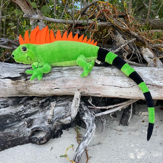 Big Iguana Plush Toy — Friends of Virgin Islands National Park