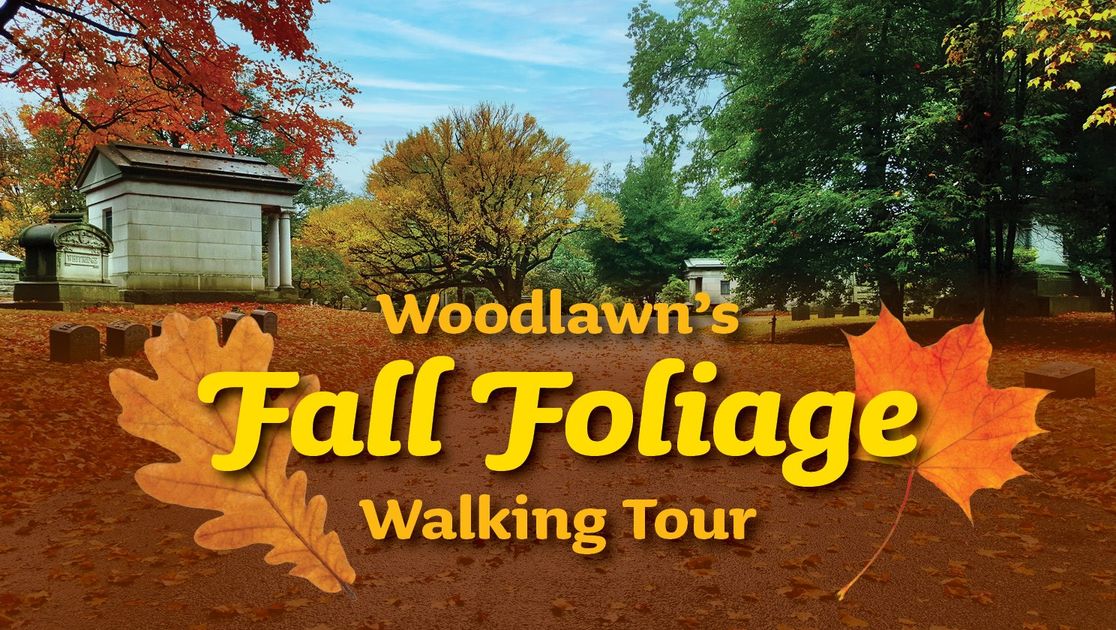 x048Fall Foliage Walking Tour, November 4, 2023 2;00PM — Woodlawn ...