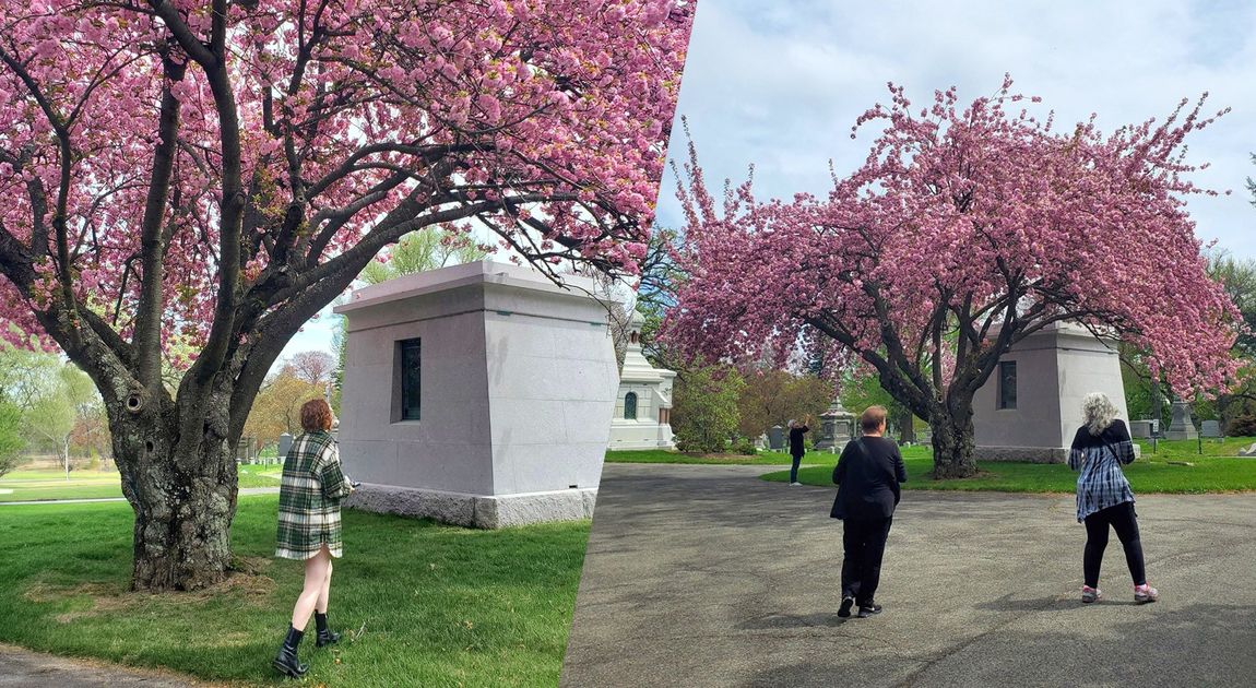 w008April 14, 2024 Woodlawn's Spring Flowering Tree Tour 12:00 PM ...