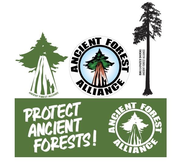 Super Sticker Saver Set — Ancient Forest Alliance