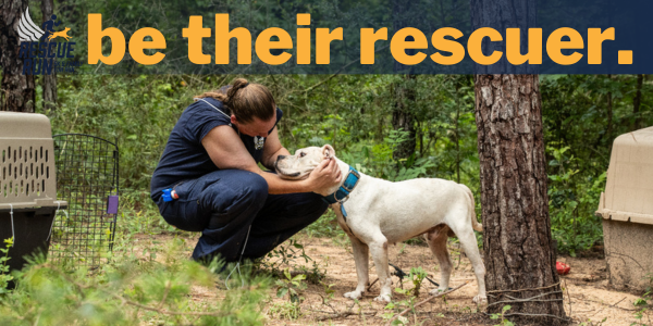 Rescue Run — Animal Rescue Corps