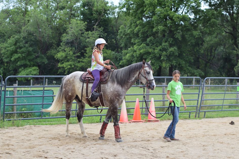 SCA Horseback Riding Badge — HAWS