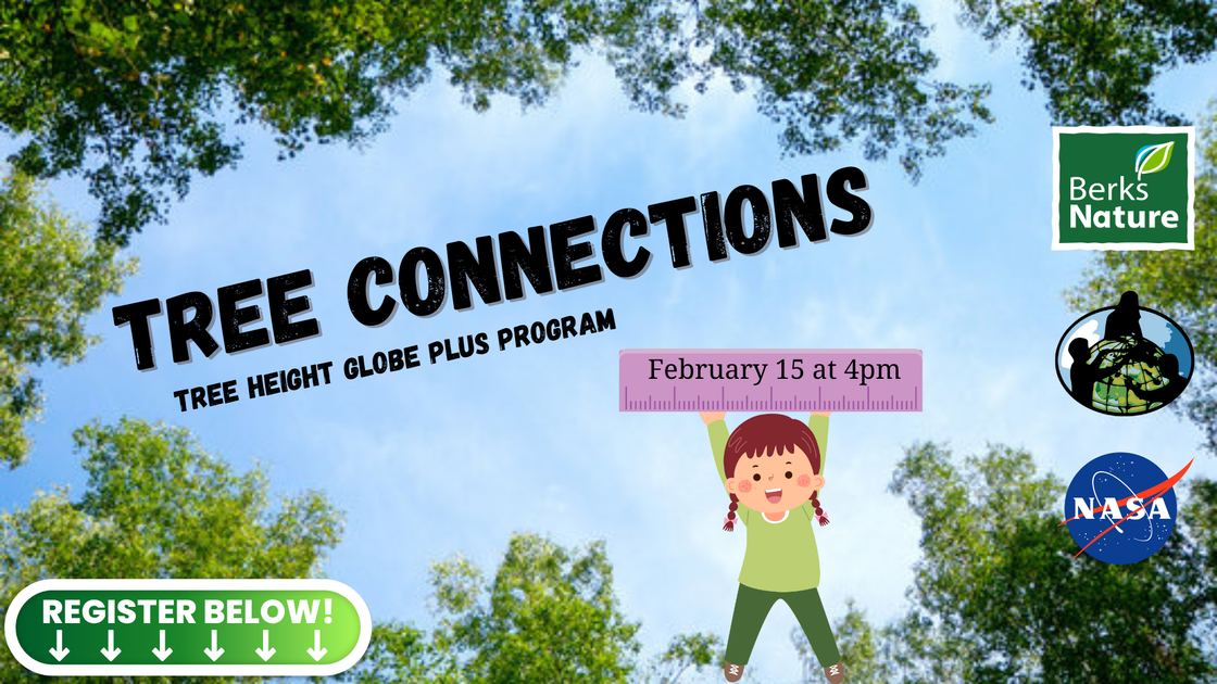 FEBRUARY 15TH - Tree Connections — Berks Nature