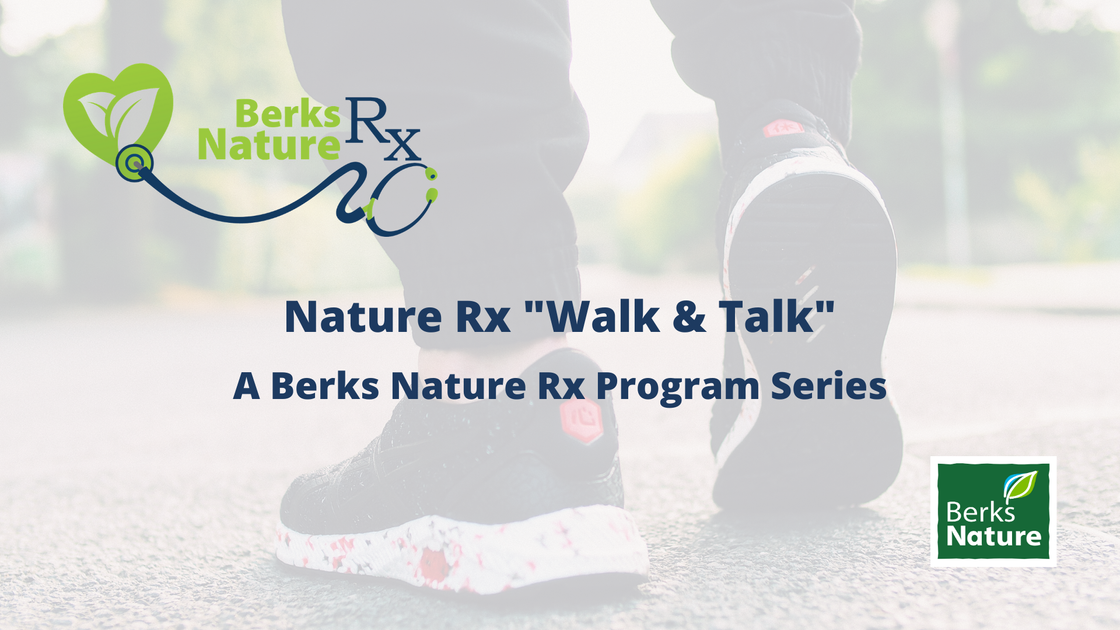 In-Person Nature Rx "Walk & Talk" with Jeremy Haymaker — Berks Nature