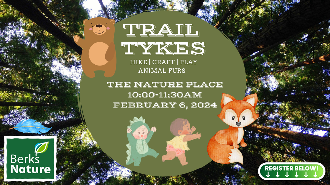 FEBRUARY 6TH- Trail Tykes: Animal Furs — Berks Nature