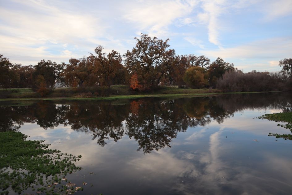 Make a Donation — River Parkway Trust