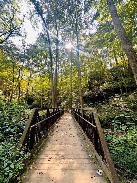 Illinois State Parks & Natural Treasures — Illinois Conservation Foundation