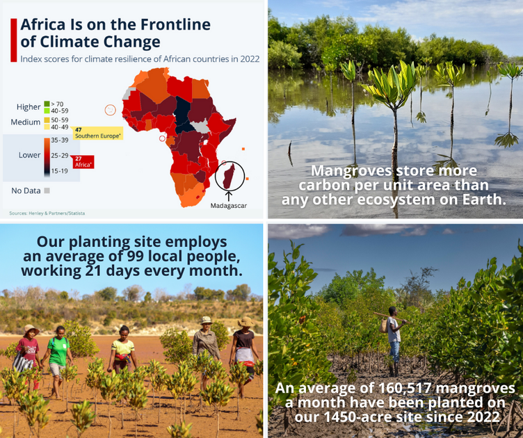 Offset Your Carbon Footprint - Become Climate Positive — Purpose on the ...