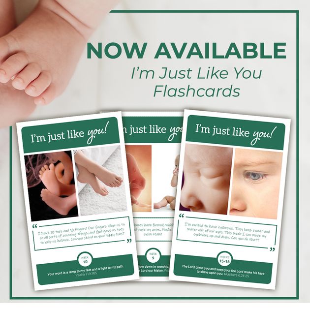 I'm Just Like You Flashcards — Anglicans For Life