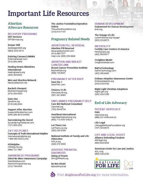 Important Life Resource Guide: Post Roe — Anglicans For Life