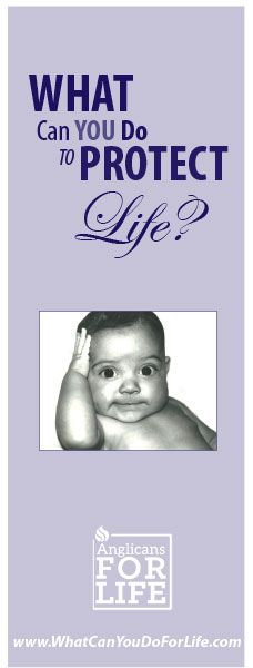 What Can You Do To Protect Life? — Anglicans For Life