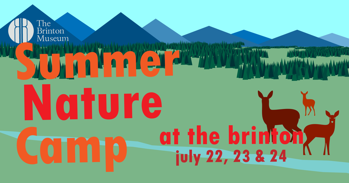 2025 Summer Nature Camp — The Brinton Museum