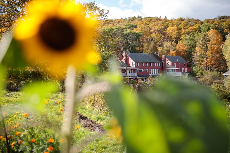 Give to Spring Lake Ranch — Give to Spring Lake Ranch Therapeutic Community